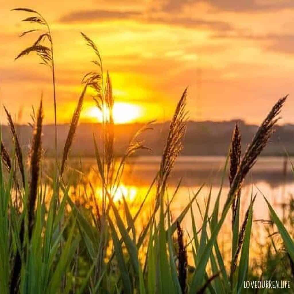 Motivation and Inspiration⋆ Love Our Real Life