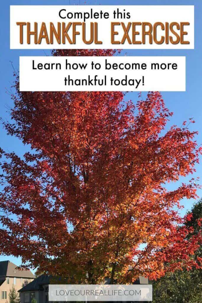 100+ Things To Be Thankful For // Make Your List Now! ⋆ Love Our Real Life