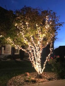 Wrap Lights on an Outdoor Tree in 6 Easy Steps ⋆ Love Our Real Life