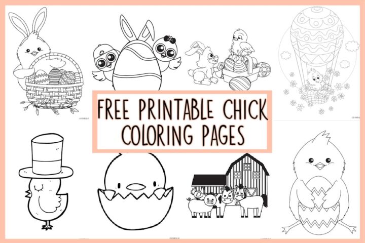 Chick Coloring Pages: Free Printable for Kids ⋆ Love Our Real Life