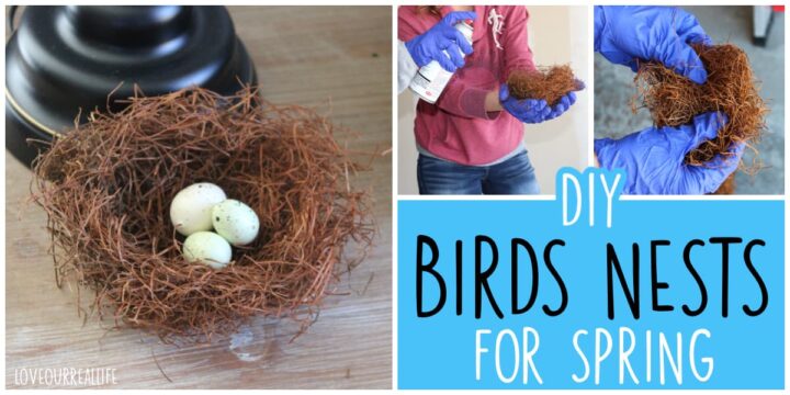 How to Make DIY Birds Nests for Spring Decor ⋆ Love Our Real Life