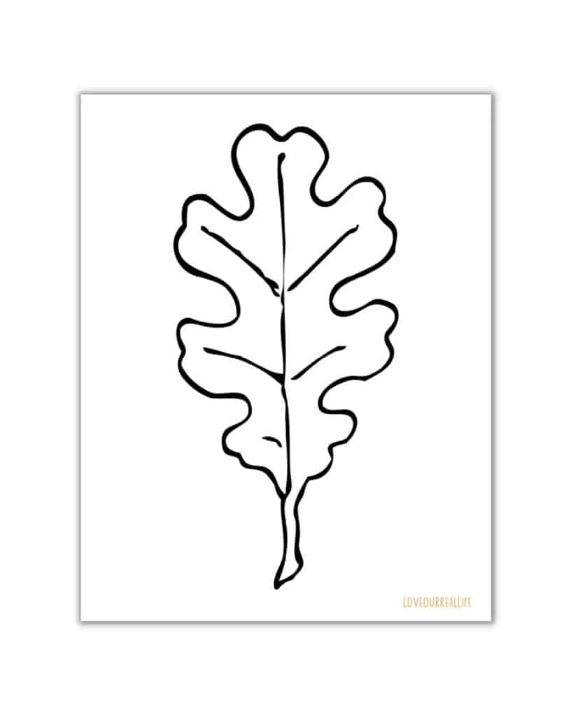 Fall Leaves Coloring Pages + FREE Printable Leaf Templates ⋆ Love Our ...