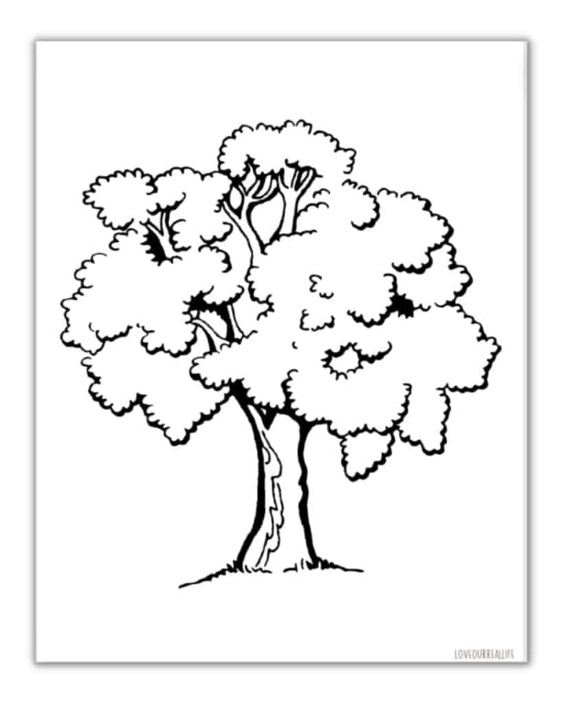FREE Printable Trees Without Leaves Template - 19 Pages ⋆ Love Our Real ...