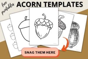 Free Acorn Template Printables - Acorn Shapes for Crafts ⋆ Love Our ...