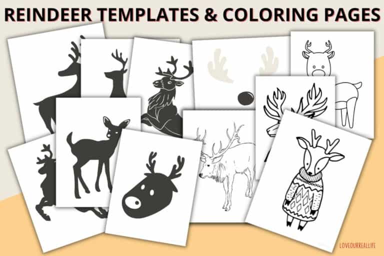 FREE Printable Reindeer Template - Paper Craft for Kids ⋆ Love Our Real ...