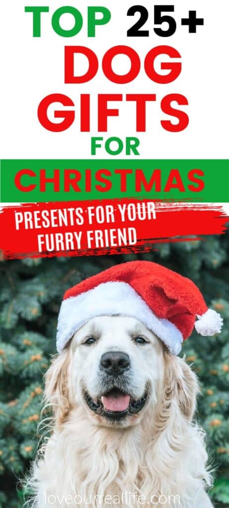Top 25+ Best Christmas Gifts For Dogs - Guide for Dog Lovers ⋆ Love Our ...