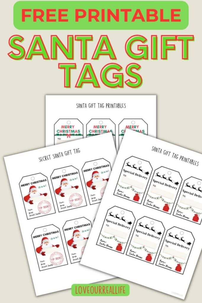 Free Printable Santa Gift Tags (Download Instantly to Print) ⋆ Love Our ...