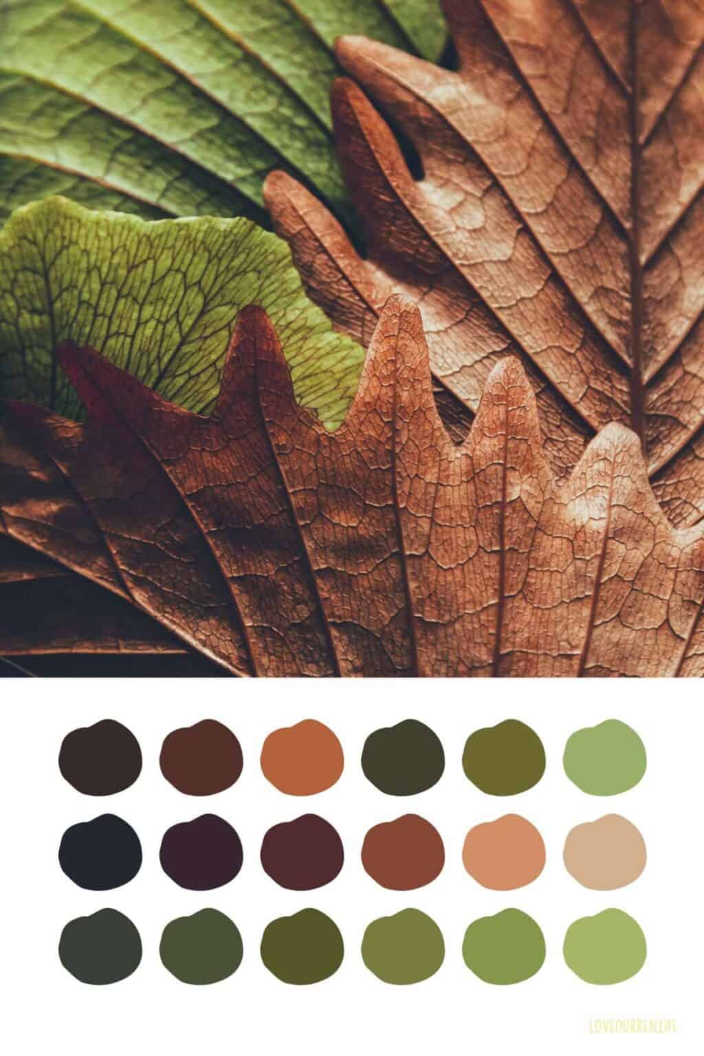 Fall Autumn Color Palettes: Create Cozy Spaces with Nature's Hues ⋆ ...