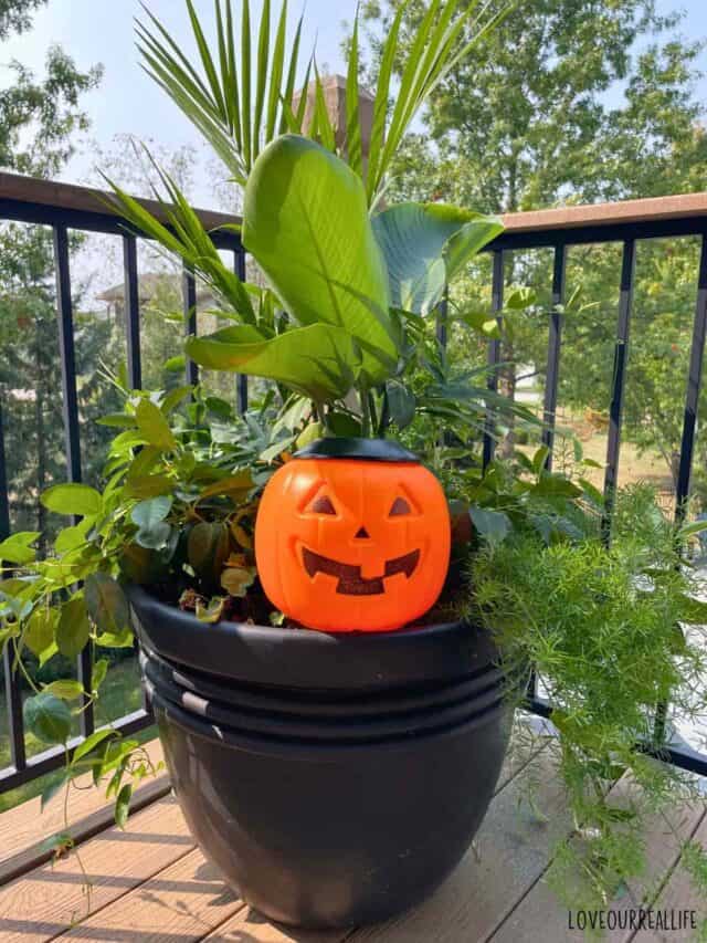 DIY Solar Pumpkin Lantern: A Fun and Easy Fall Craft ⋆ Love Our Real Life