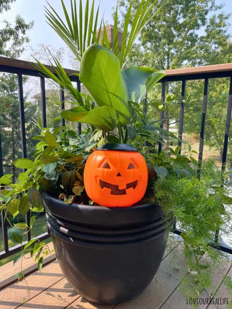 DIY Solar Pumpkin Lantern: A Fun and Easy Fall Craft ⋆ Love Our Real Life