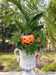 DIY Solar Pumpkin Lantern: A Fun and Easy Fall Craft ⋆ Love Our Real Life