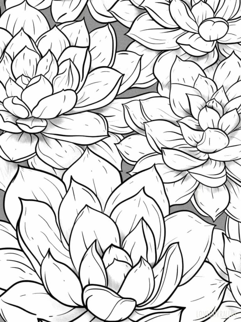 Succulent Coloring Pages – Free Printable PDFs for Kids and Adults ⋆ ...