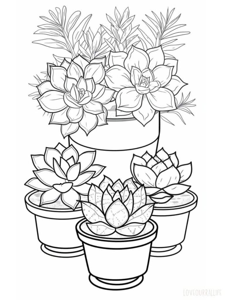 Succulent Coloring Pages – Free Printable PDFs for Kids and Adults ⋆ ...