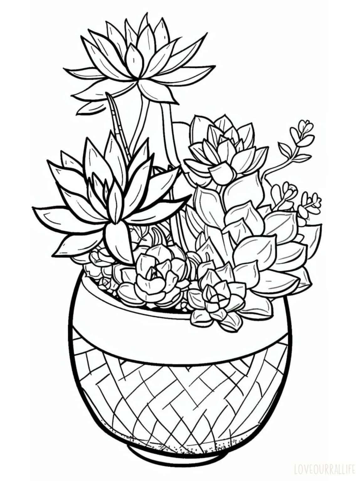 Succulent Coloring Pages – Free Printable PDFs for Kids and Adults ⋆ ...